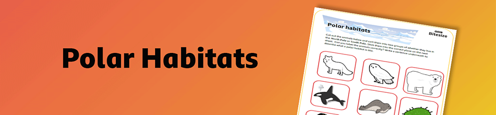 What is a polar habitat? - BBC Bitesize