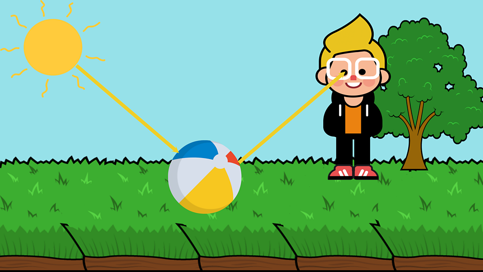 How does the eye detect light? - BBC Bitesize