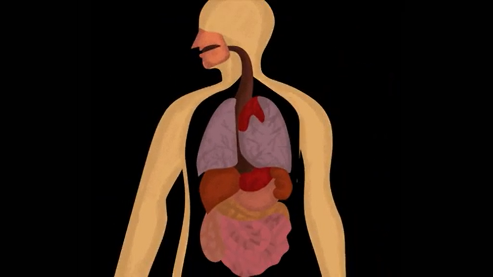 What did the ancient Greeks discover? - BBC Bitesize