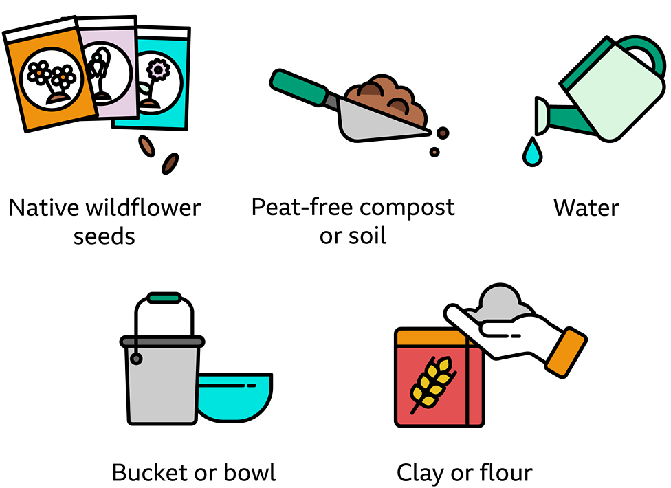 How to make your own seed balls - KS2 - The Regenerators - BBC Bitesize
