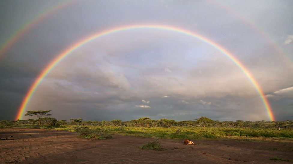 Natural shapes around the world - BBC Bitesize