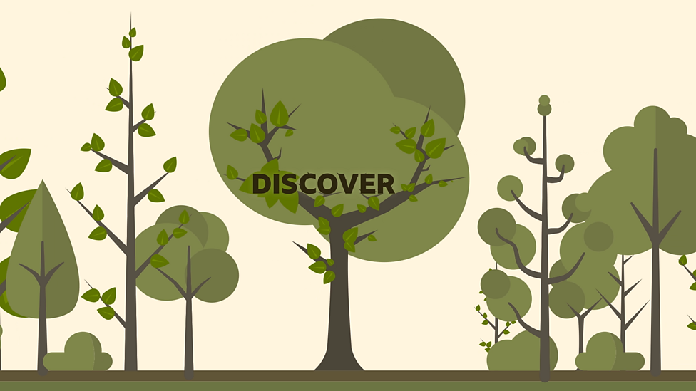 KS3 English - BBC Bitesize