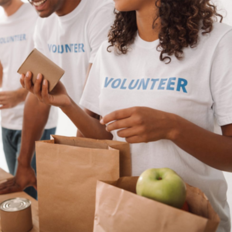 Jobs and contributing | KS2 Citizenship | Primary - BBC Bitesize