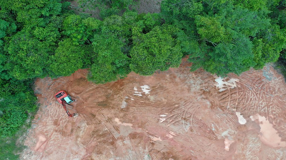 What is geography? - BBC Bitesize