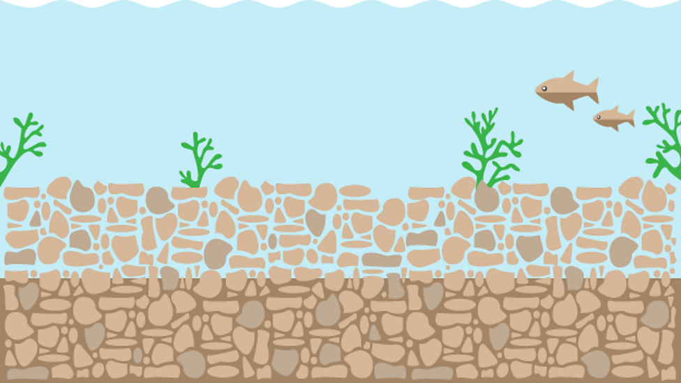 Rock types - The Earth and atmosphere - KS3 Chemistry - BBC Bitesize