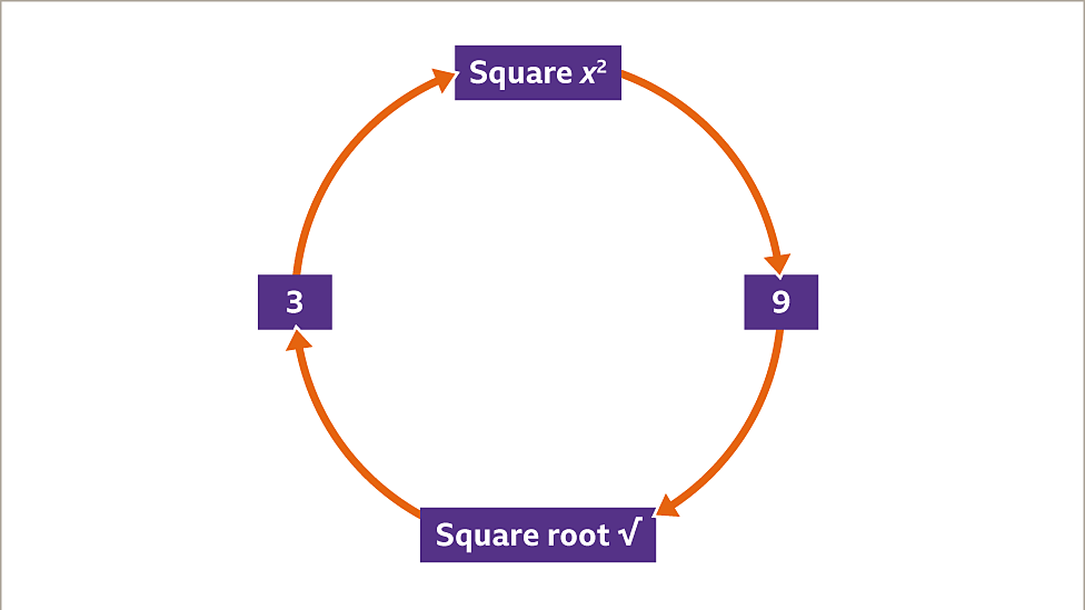 Roots - BBC Bitesize