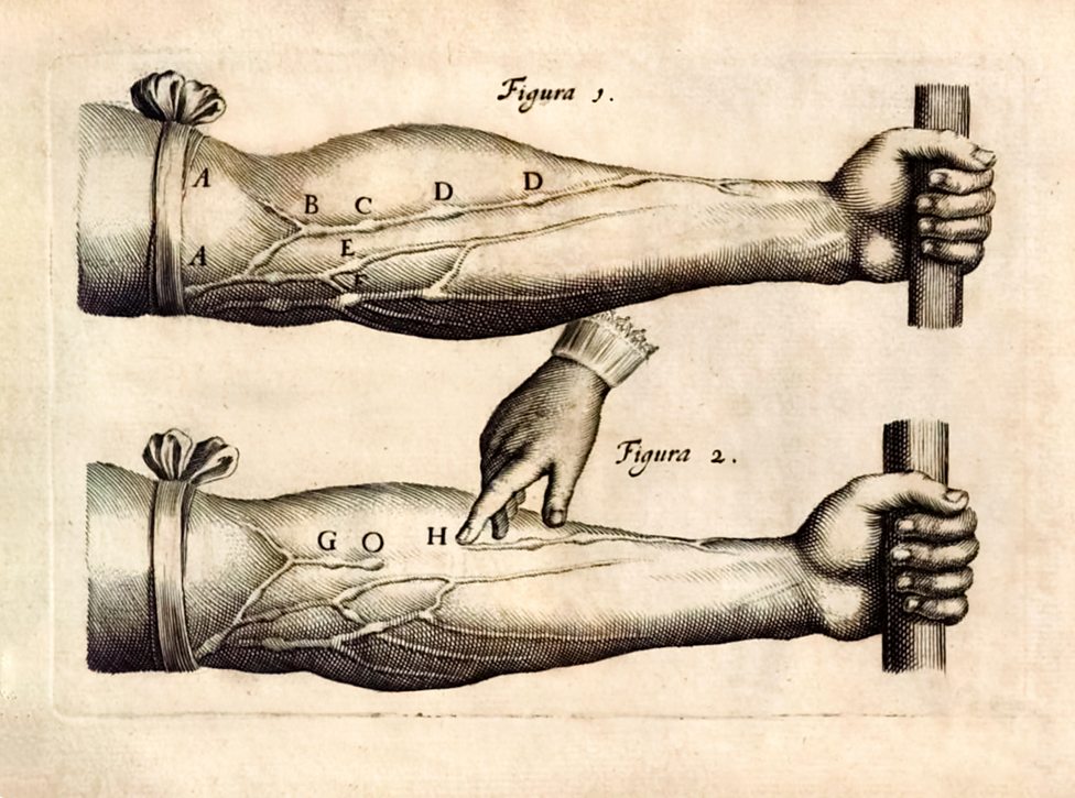 The Renaissance: the rebirth of medicine, 14th to 17th century - BBC ...