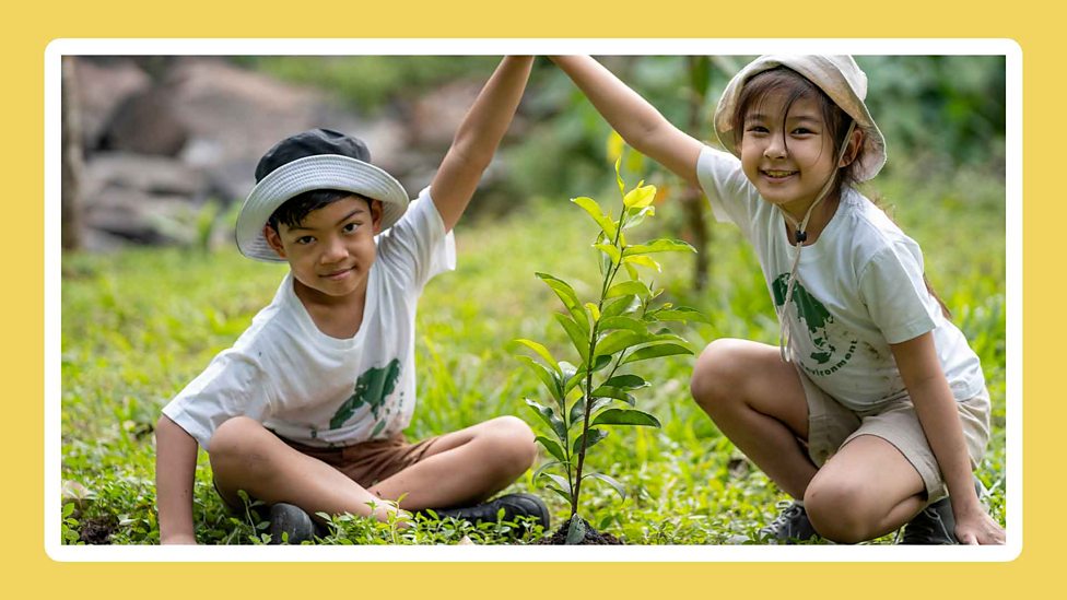 Getting involved | KS1 Citizenship | Primary - BBC Bitesize