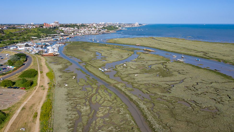 Wetlands of the UK | KS2 Geography | Year 3 and Year 4 - BBC Bitesize