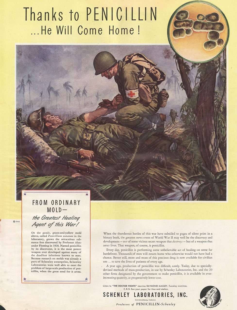 The impact of war on medical developments - BBC Bitesize