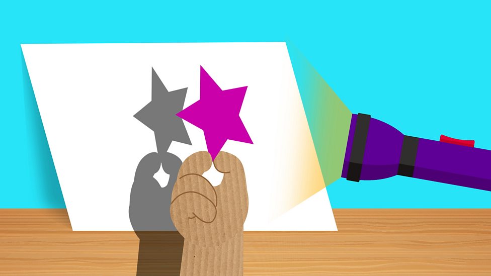 Science KS2: What is inheritance? - BBC Teach