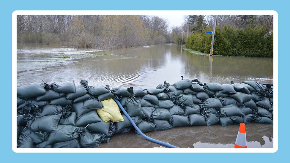 Risks in the community | KS2 Citizenship | Primary - BBC Bitesize