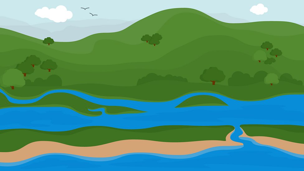 Wetlands of the UK | KS2 Geography | Year 3 and Year 4 - BBC Bitesize