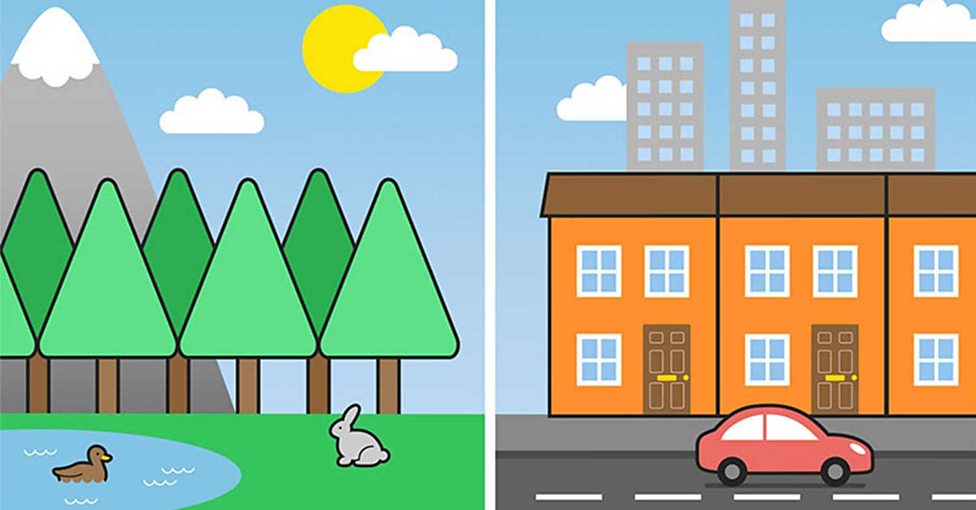 Looking after the environment | KS1 Citizenship | Primary - BBC Bitesize