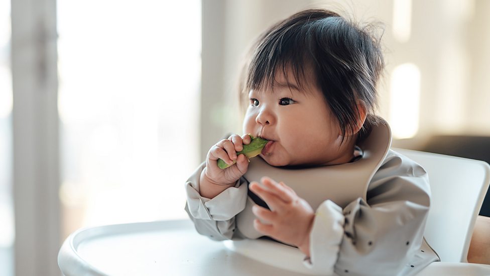 How to Wean Your Baby? Your Weaning Questions Answered - BBC Tiny Happy ...
