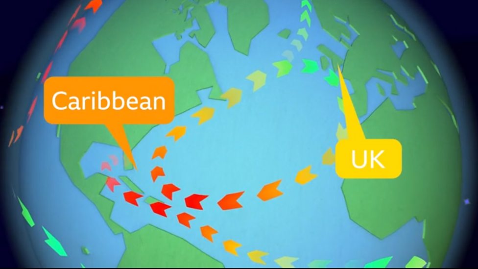 What are the five oceans of the world? - BBC Bitesize