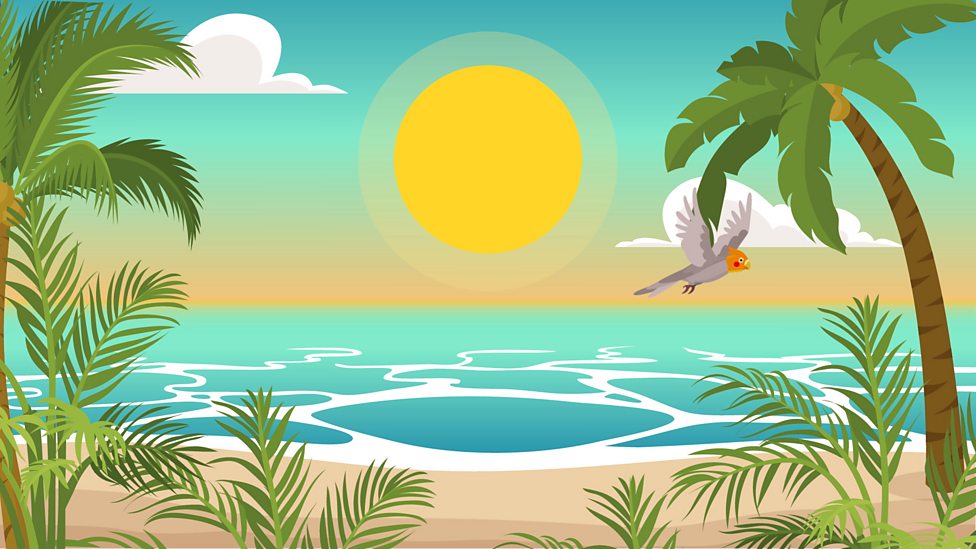 Science KS2: How are shadows made? - BBC Teach