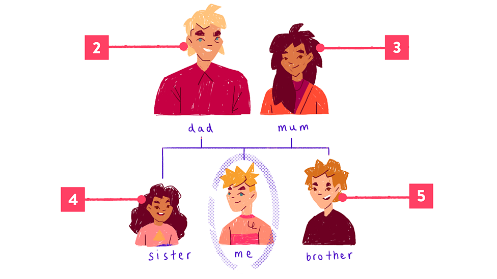 Learn English vocabulary to describe family and friends - BBC Bitesize