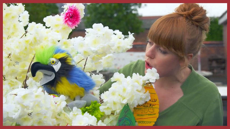 Treasure Champs - BBC Teach