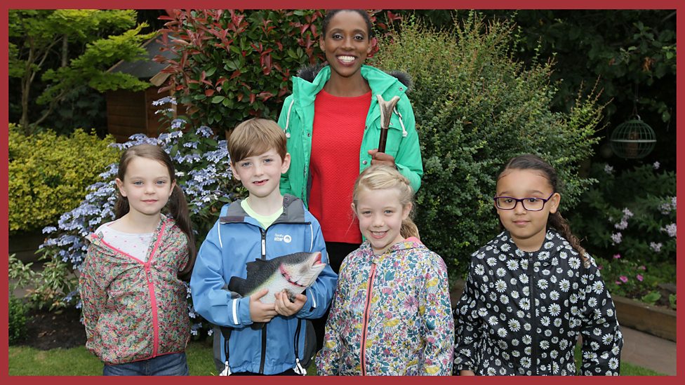 Treasure Champs - BBC Teach