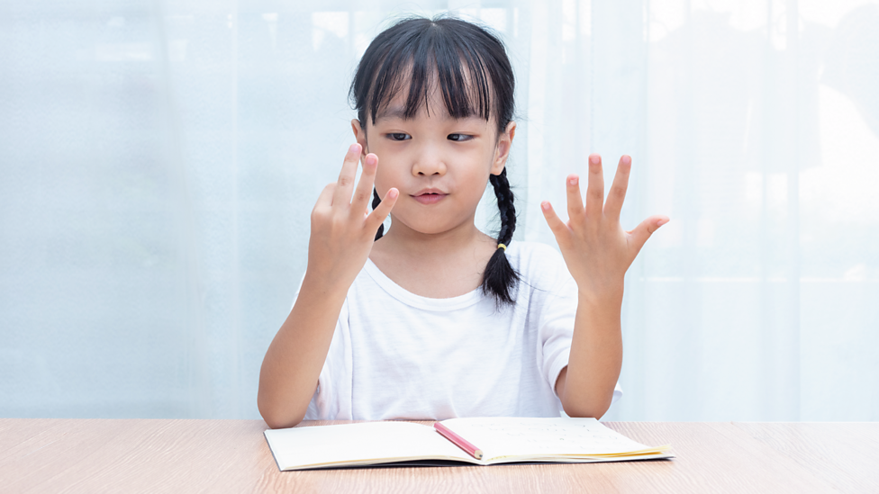 Counting | numeracy - BBC Bitesize