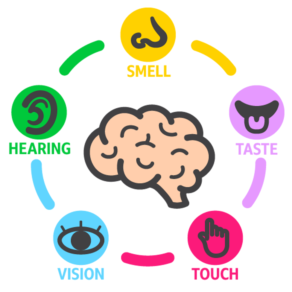 Programming with sensors - BBC Bitesize