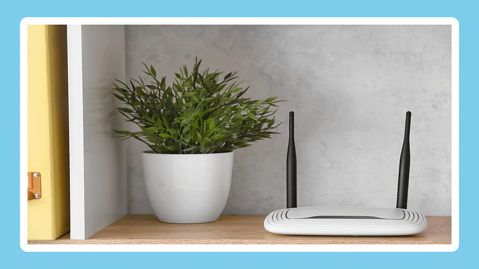 The internet - BBC Bitesize