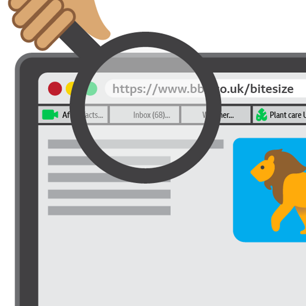 Is information on the web always reliable? - BBC Bitesize