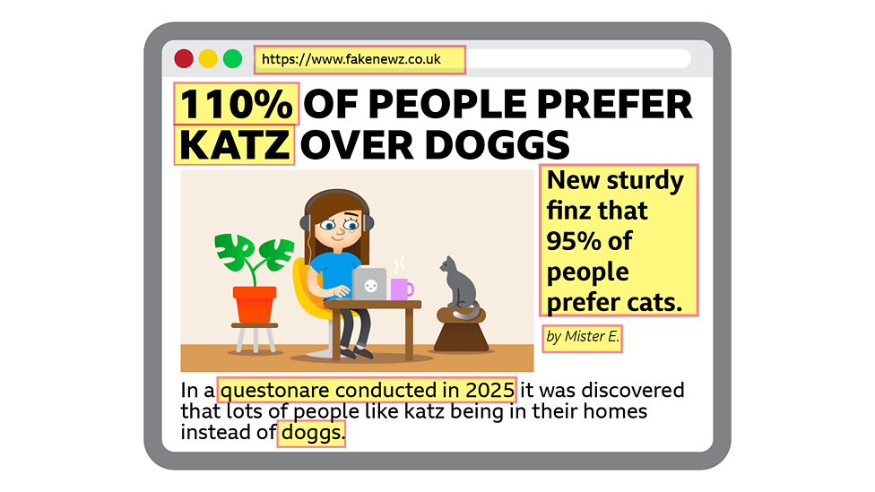 Is information on the web always reliable? - BBC Bitesize