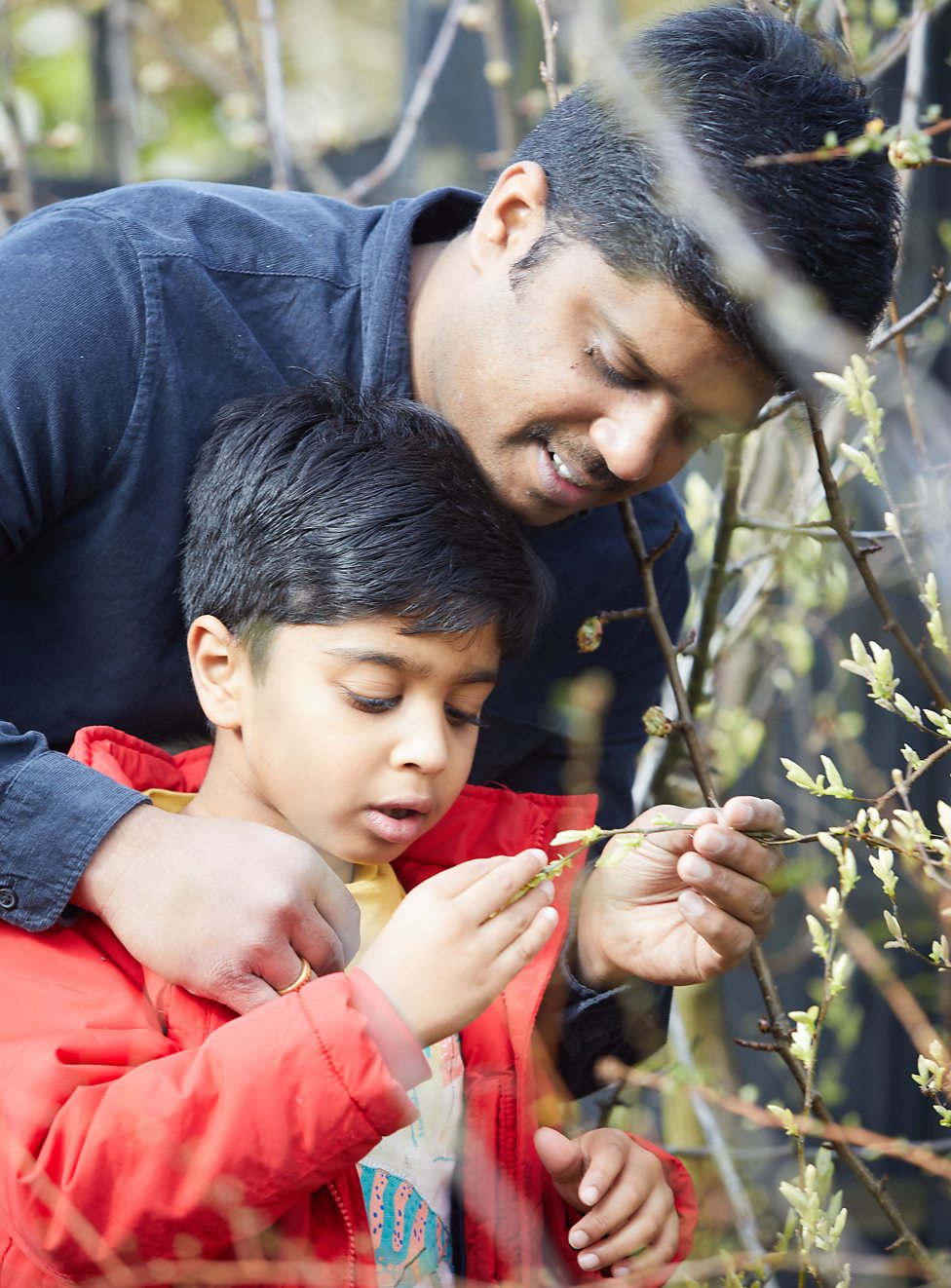 Become a nature detective - BBC Bitesize