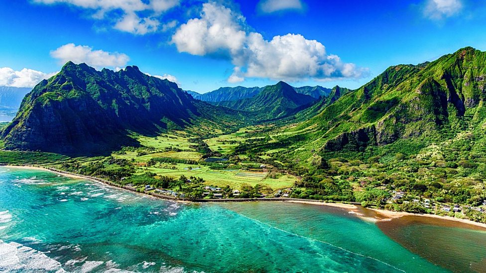 How much do you know about Earth Day? - BBC Bitesize