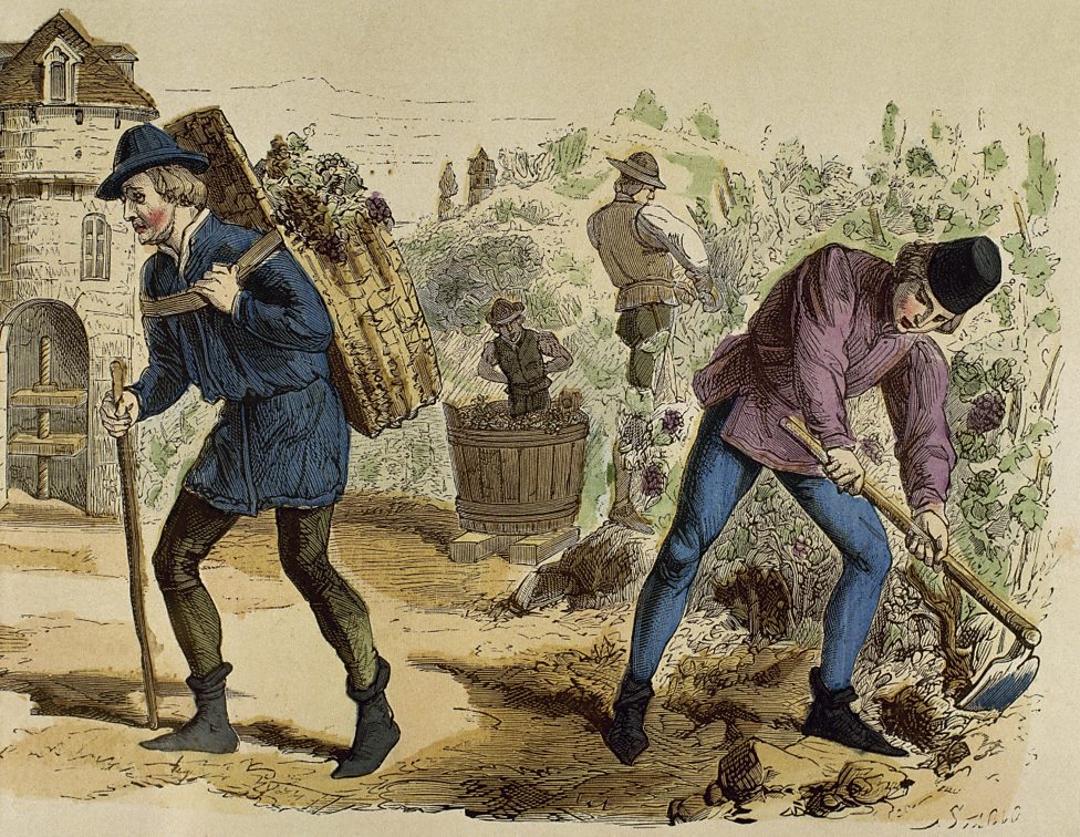 Early pandemics: the plague - BBC Bitesize