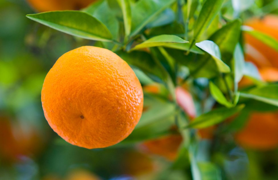 Scotland - Geography - Transport and tourism - Ayrshire coast and ...