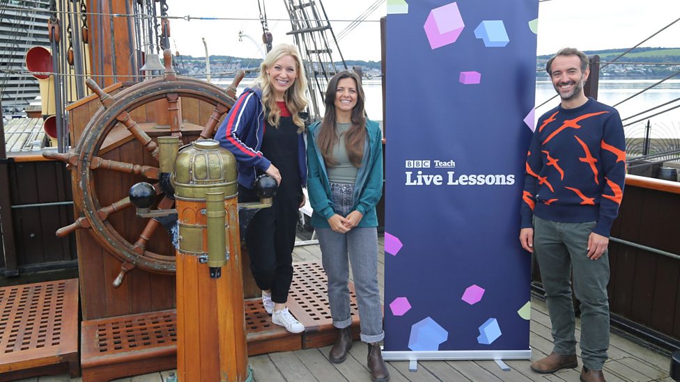 How harp seal pups can help children understand climate change - BBC Teach