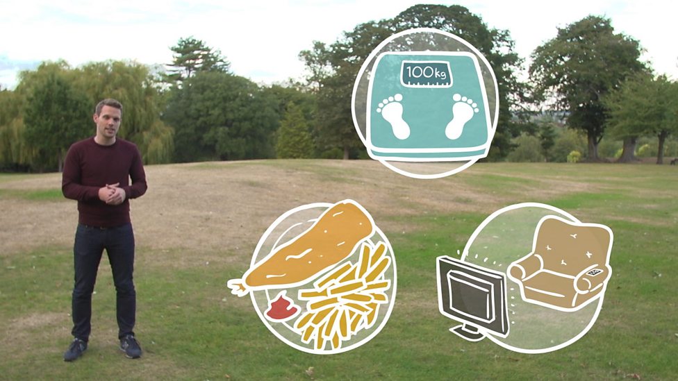 Physiology and Health - Higher Human Biology - BBC Bitesize