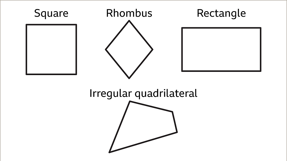 Properties of quadrilaterals - KS3 Maths - BBC Bitesize