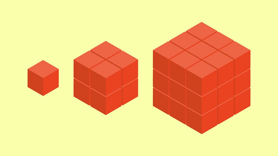 Organisation - GCSE Combined Science - BBC Bitesize