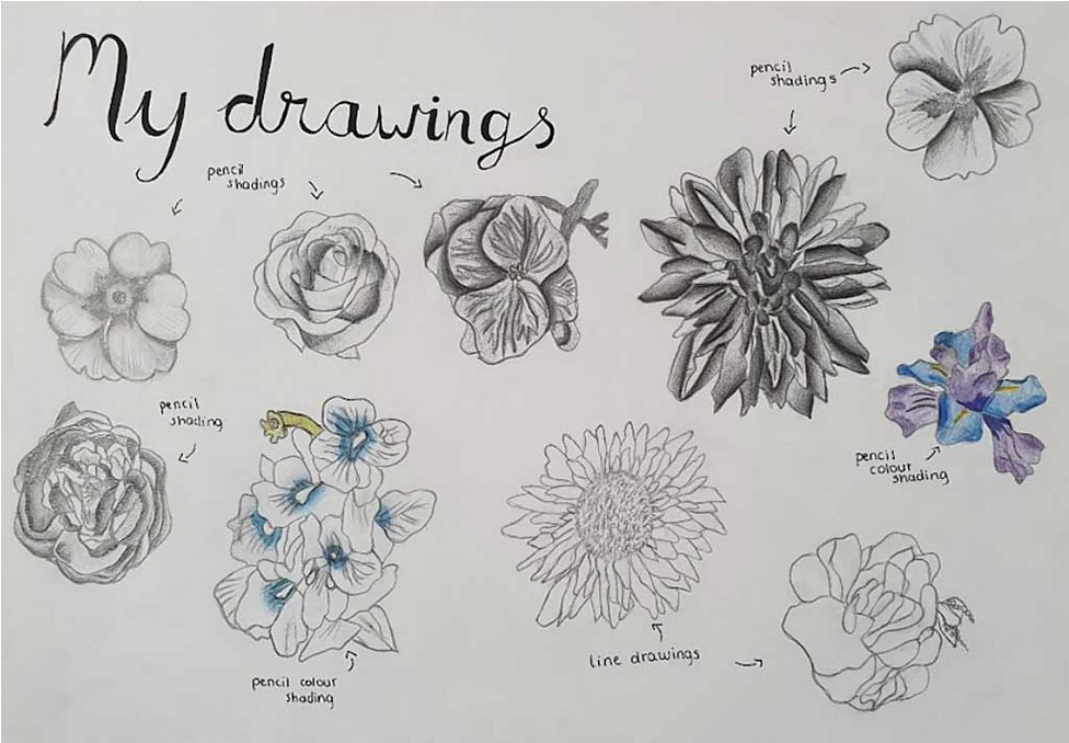 Why do analytical drawing? - Analytical drawing - AQA - GCSE Art and ...