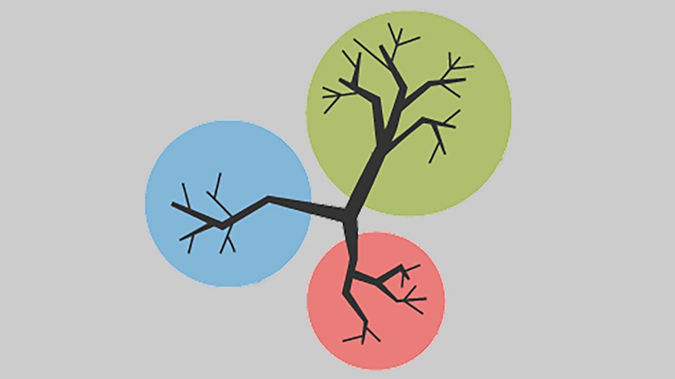 Inheritance, variation and evolution - GCSE Biology (Single Science ...