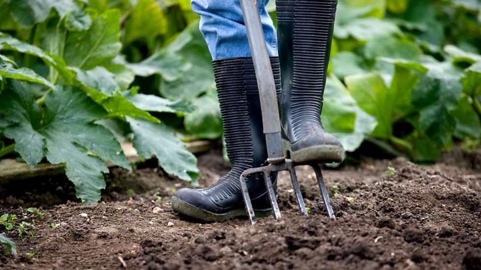 Biosphere - Higher Geography - BBC Bitesize