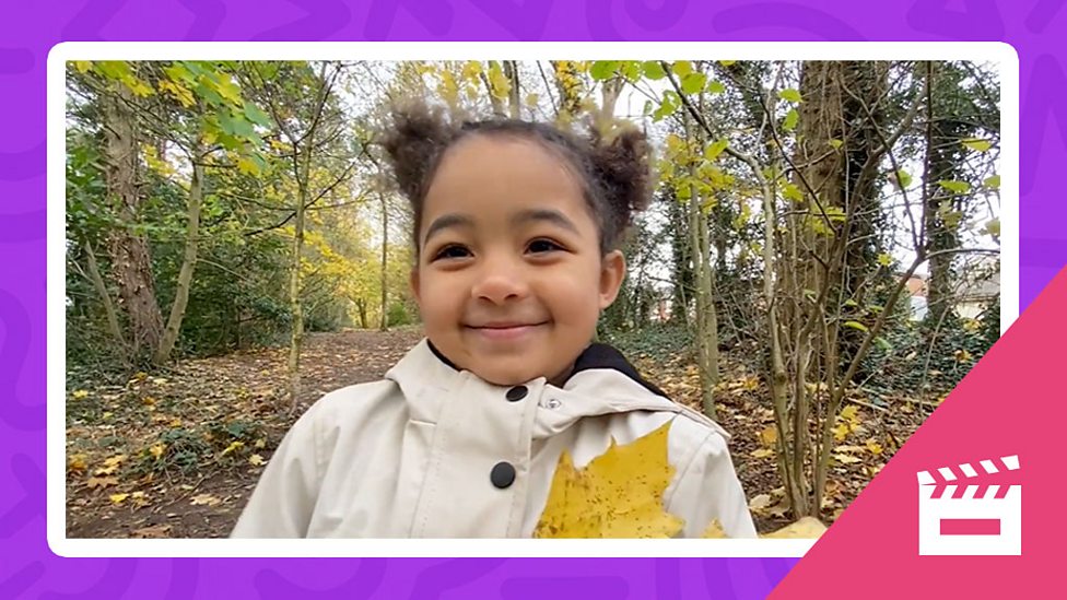 My town matching game - EYFS - Reception - BBC Bitesize