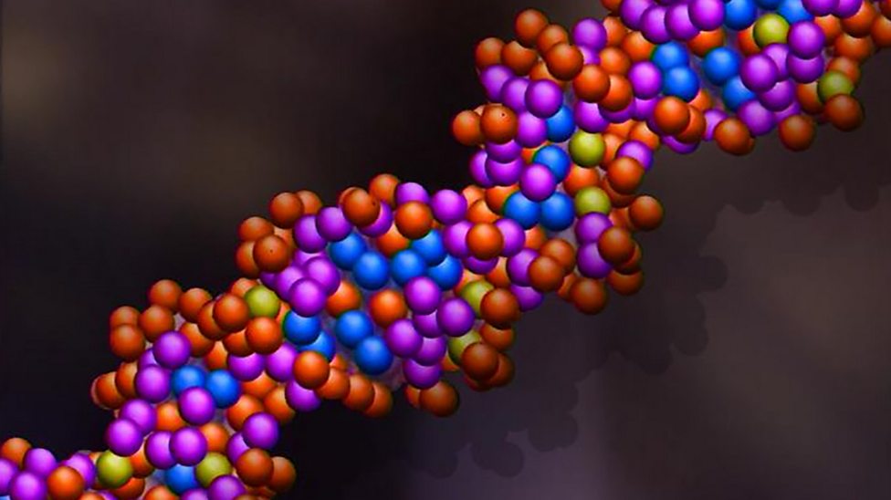 You and your genes - GCSE Combined Science - BBC Bitesize