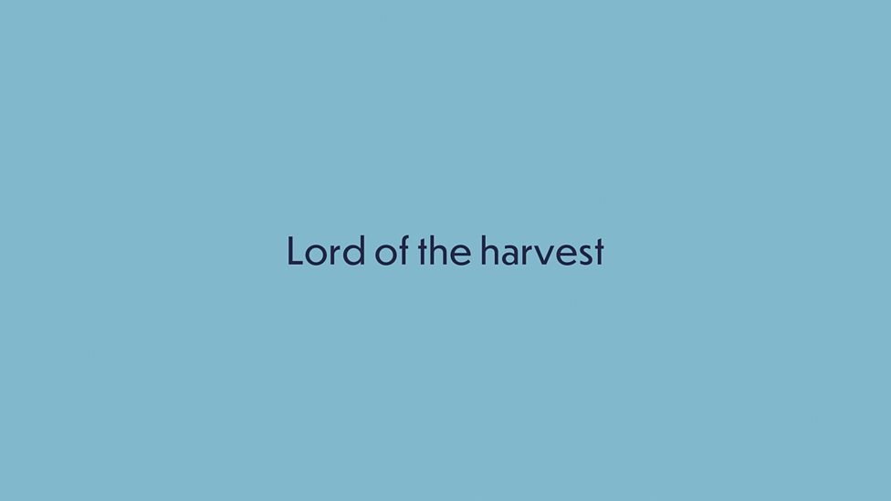 Resources for Harvest festival - BBC Teach