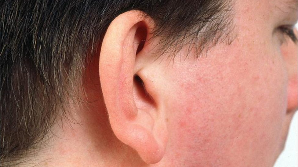 TGAU Bioleg - BBC Bitesize