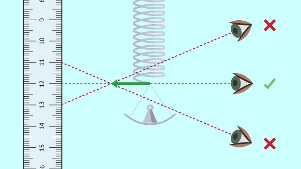 TGAU Bioleg - BBC Bitesize