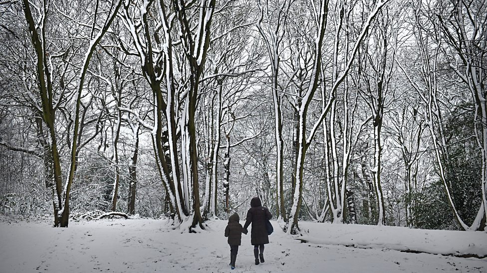 TGAU Bioleg - BBC Bitesize