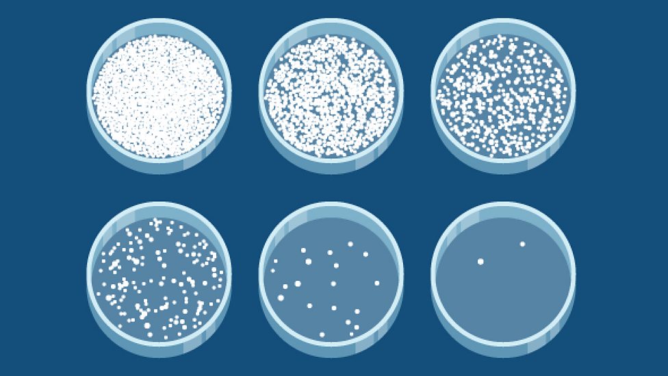 TGAU Bioleg - BBC Bitesize