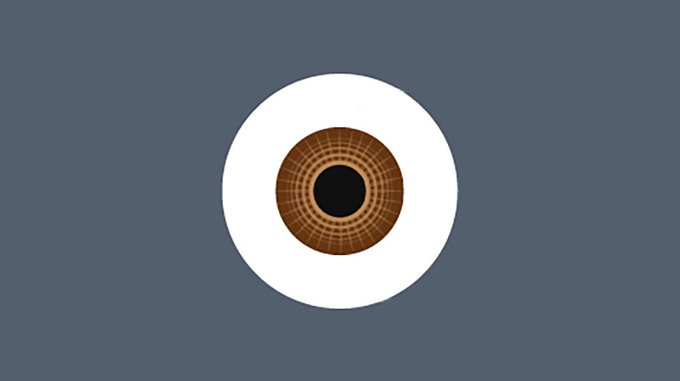 TGAU Bioleg - BBC Bitesize