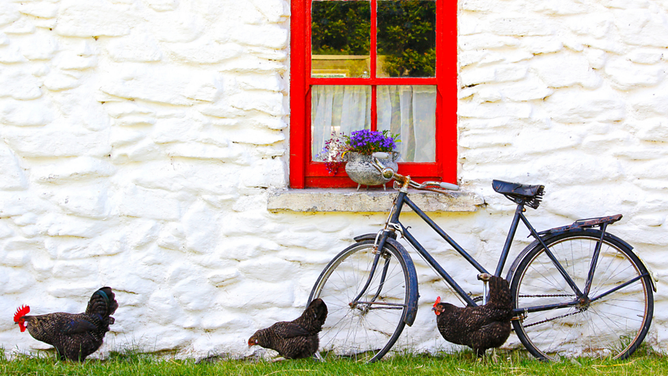 GCSE Irish – Learners (CCEA) - BBC Bitesize