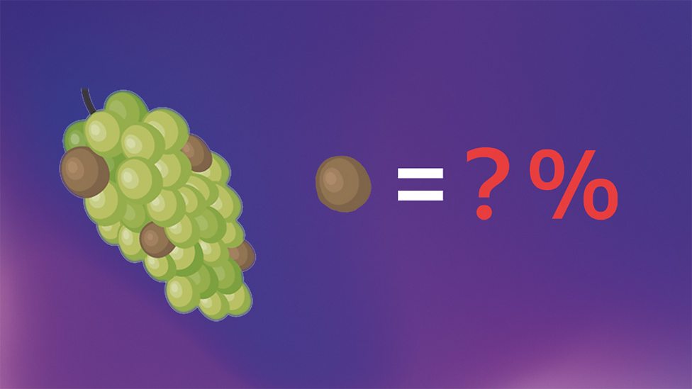 TGAU Mathemateg Rhifedd - BBC Bitesize